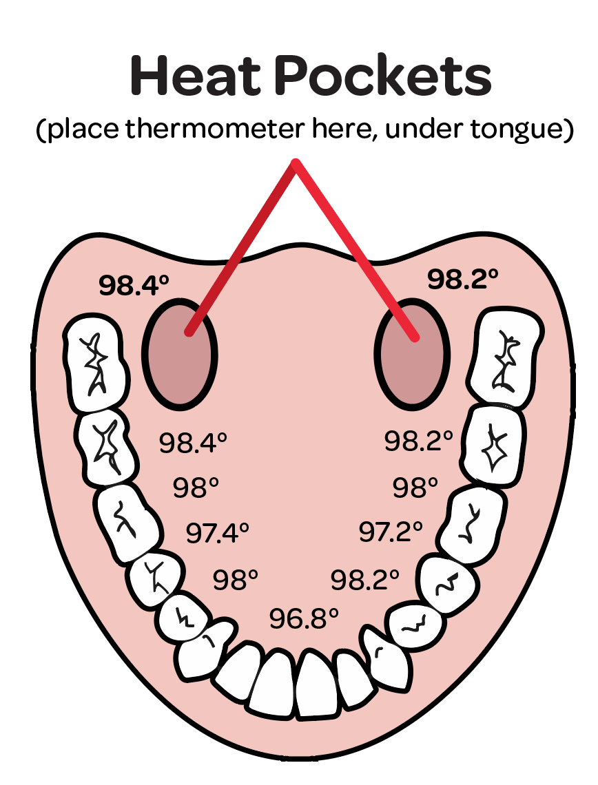 QuickCare: How to fix an ER3 message on your thermometer – Kinsa Help ...